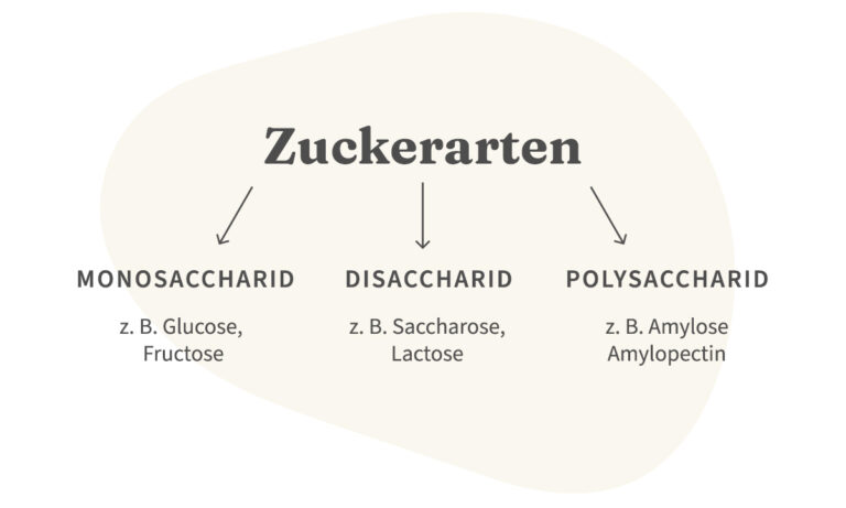 Fructoseintoleranz – Symptome, Diagnose und Ernährung