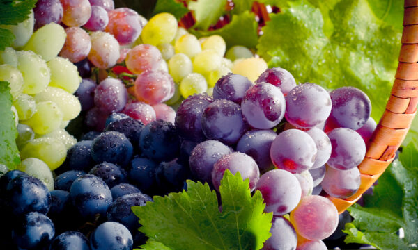 Fructoseintoleranz – Symptome, Diagnose und Ernährung