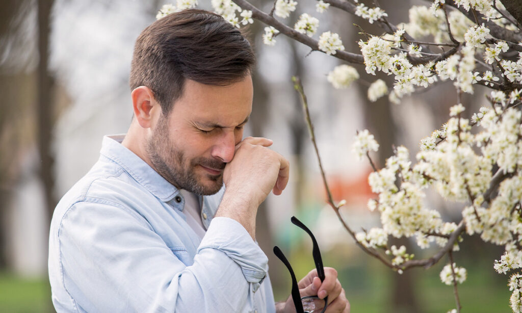 Das Immunsystem verstehen – komplexes Wissen leicht gemacht